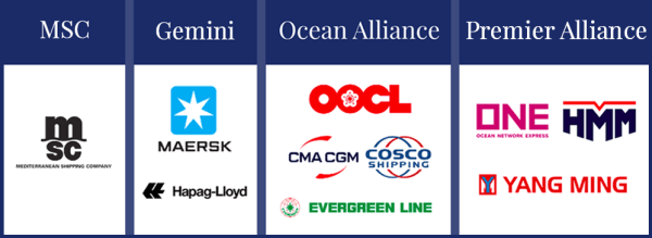 TOP 5 HÃNG TÀU LỚN NHẤT THẾ GIỚI 2025 - Vinalift